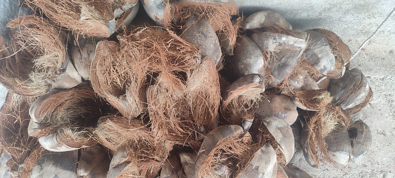 Coconut Waste